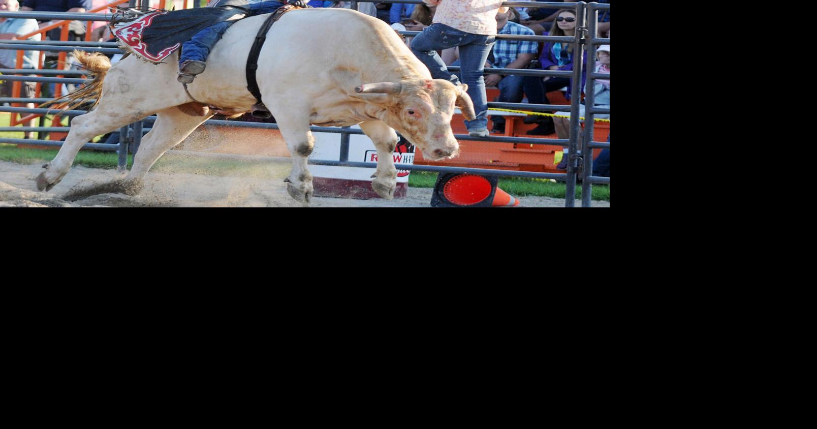 Top cowboys, cowgirls return for the Roseneath Pro Rodeo