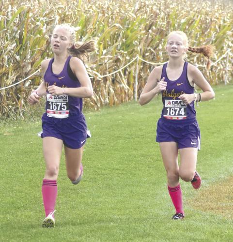 LC girls finish 1-2, win own invite | Northwest Signal ...