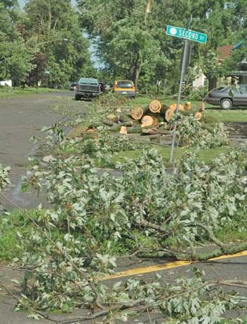 Downed limbs litter county after storm | News | northwestsignal.net