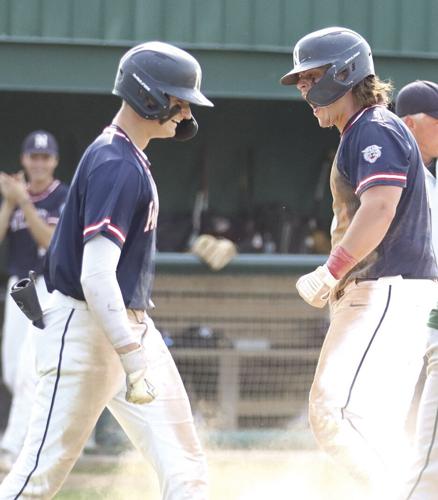 Napoleon, Bryan ACME baseball top Tinora in District 1 tournament ...