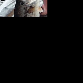 David W. Stephens (Jan. 16, 1947-March 9, 2023) | Obituaries ...