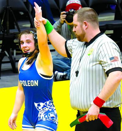 Napoleon's Evanie Shank is in the Player Spotlight | Sports | northwestsignal.net