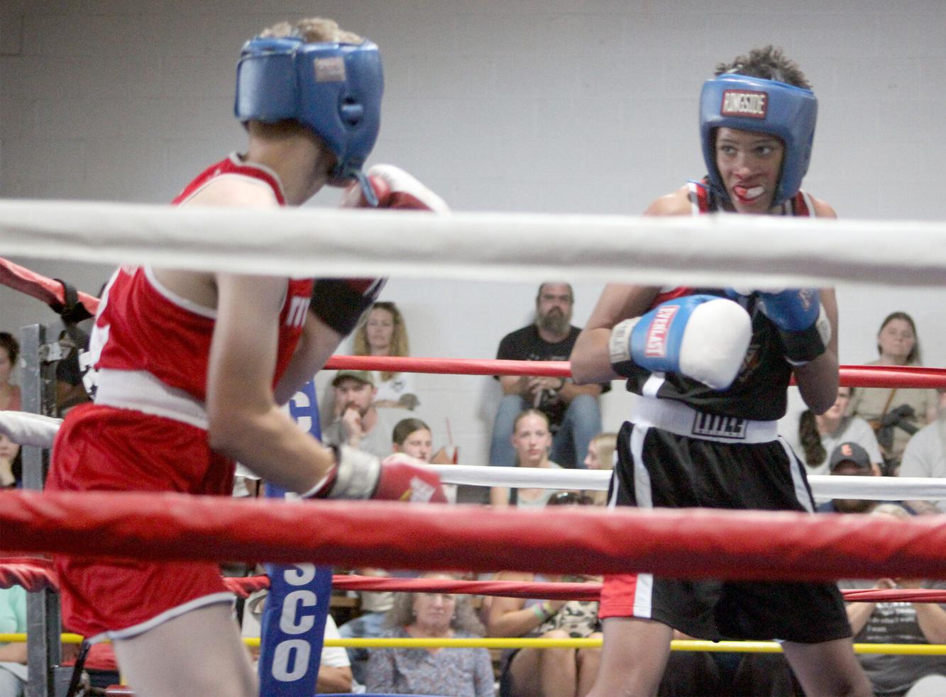 Golden Gloves Boxing | Fulton County Fair | northwestsignal.net