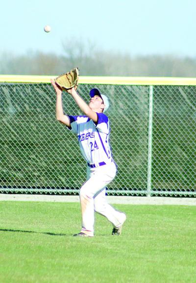 Holgate wins battle of Tigers | Northwest Signal | northwestsignal.net