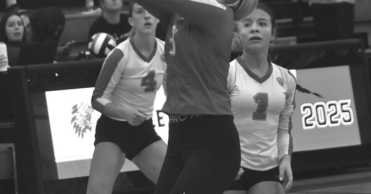 PH wins outright NWOAL crown; Wauseon rallies past Bryan | Sports ...