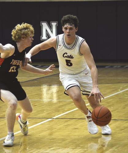 Cats hold off Tigers for 3rd straight Henry County title | Sports ...