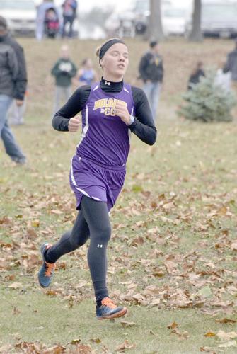 Teams preparing for district meets | Northwest Signal | northwestsignal.net