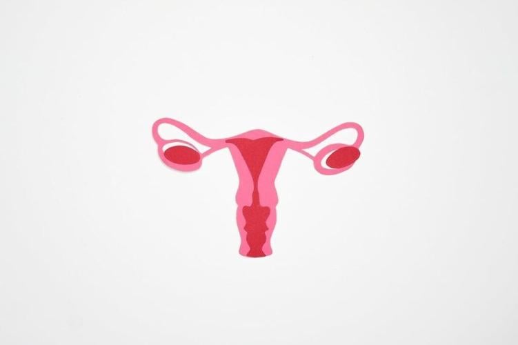New ovarian cancer treatment dubbed ‘biological missile’ approved ...