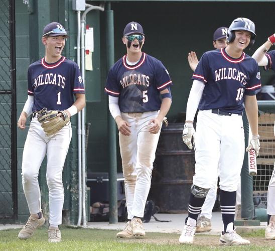 Napoleon, Bryan ACME baseball top Tinora in District 1 tournament ...