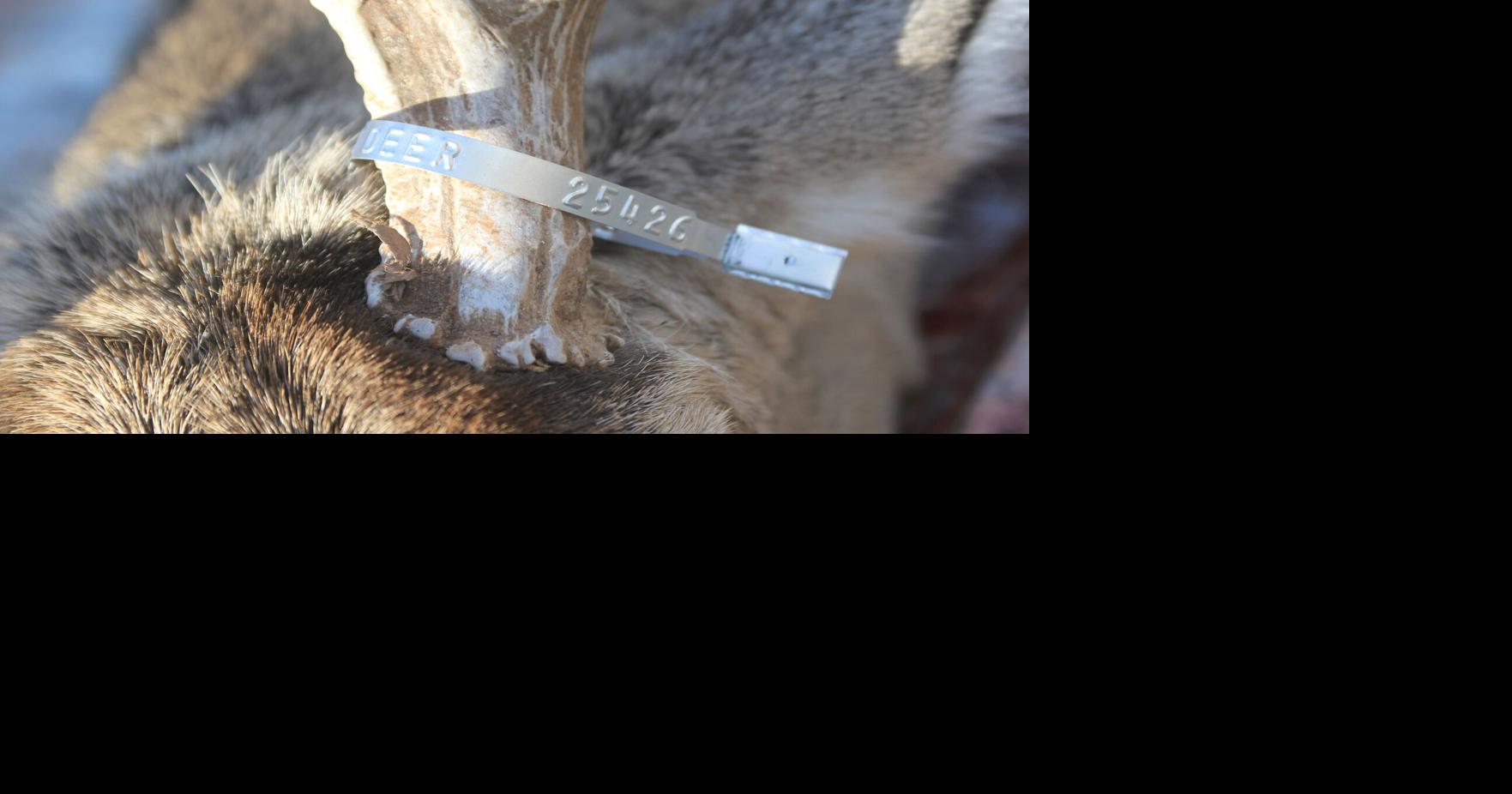 Julie Geiser: Changes for upcoming deer seasons