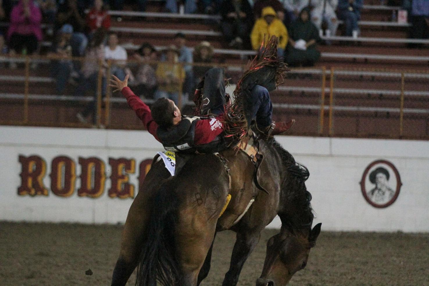 Two-time Buffalo Bill Rodeo winner Garrett Shadbolt makes his return to ...