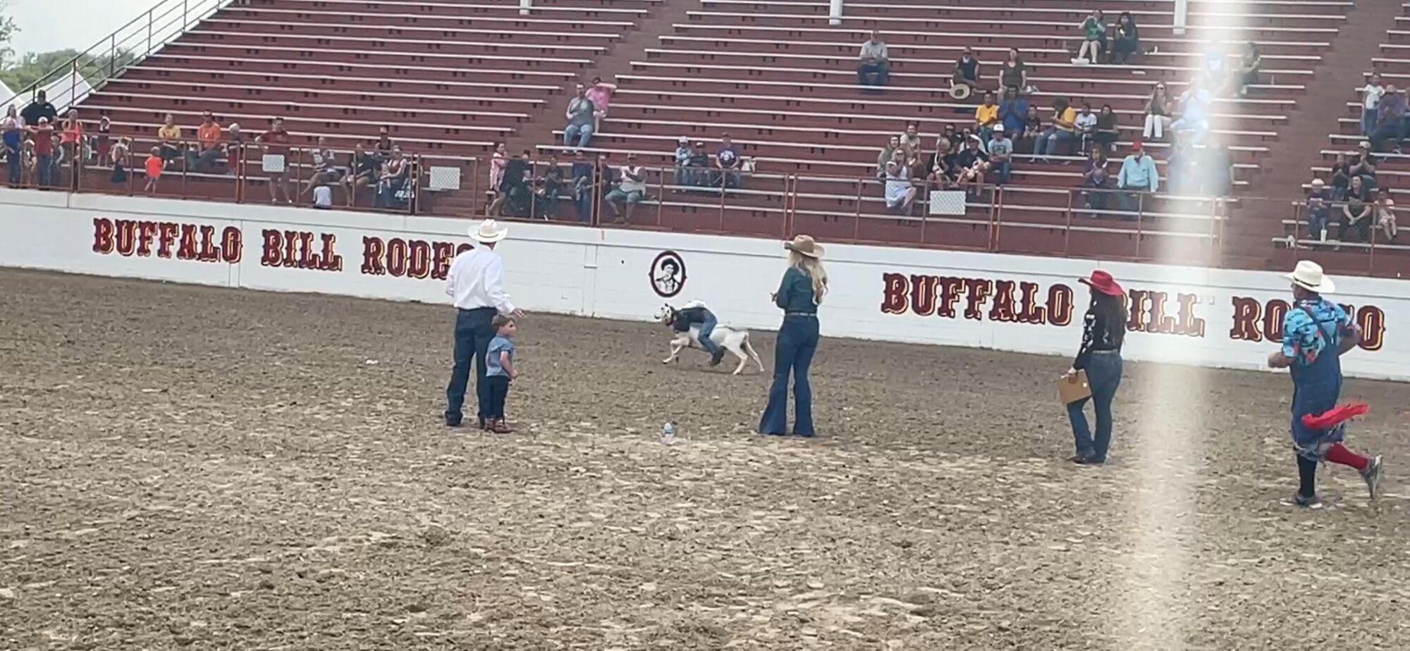 Mutton Bustin' brings out the bravest kids in Flatrock