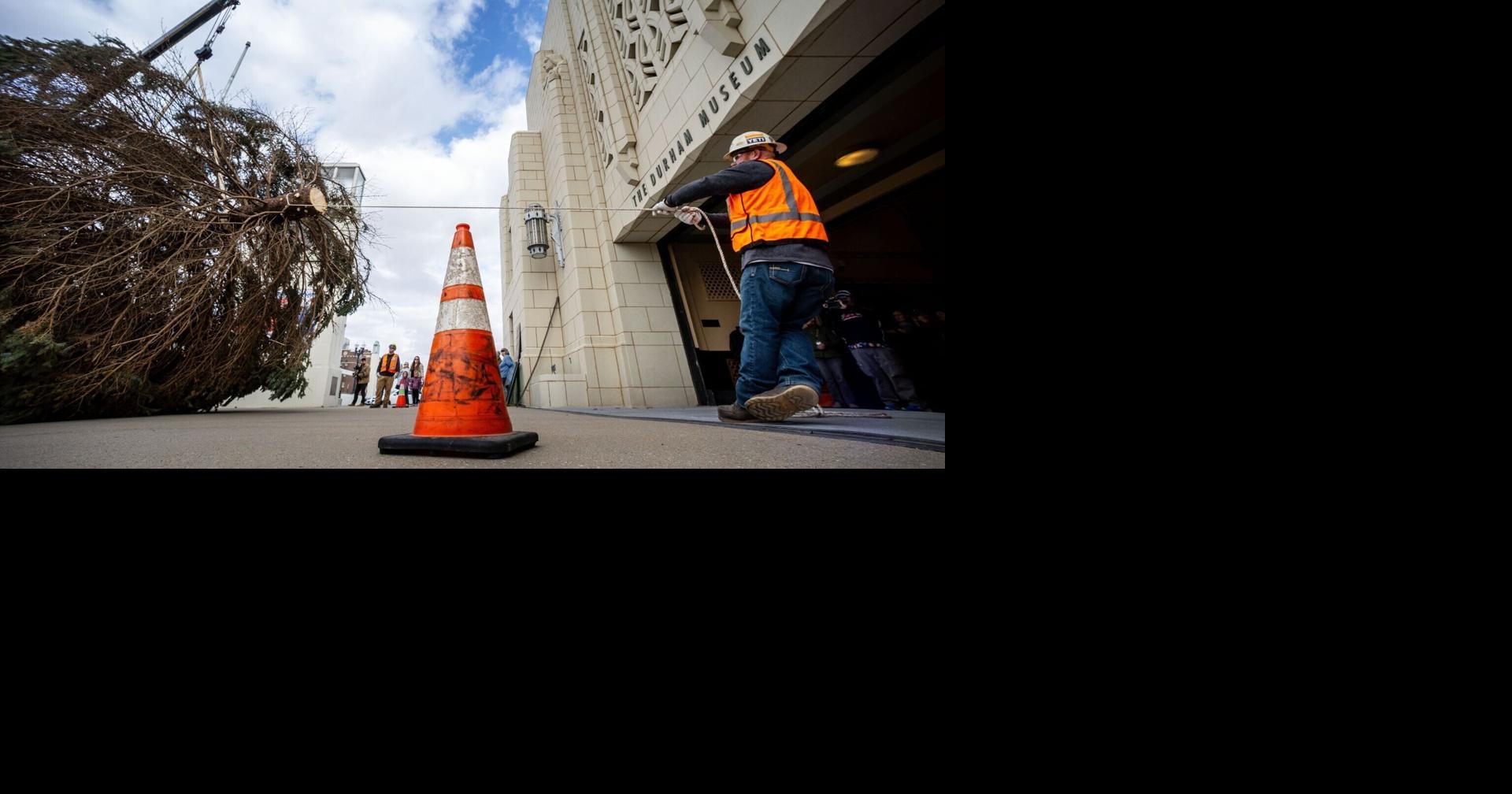 Durham Museum seeks perfect tree for Christmas at Union Station