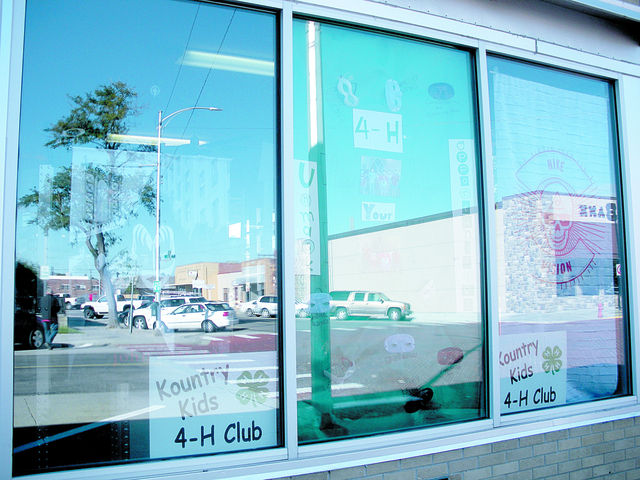 4-H names winners of window displays