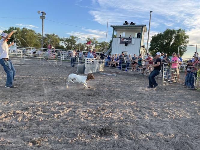 Goat roping gives fair goers fun