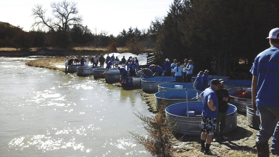 No bad luck for 13th Polar Bear Tank Race