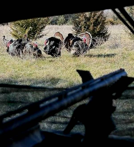 Rick Windham: If its spring, its turkey season in Nebraska