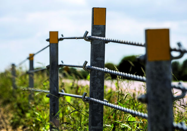 Cable barriers help prevent car crashes