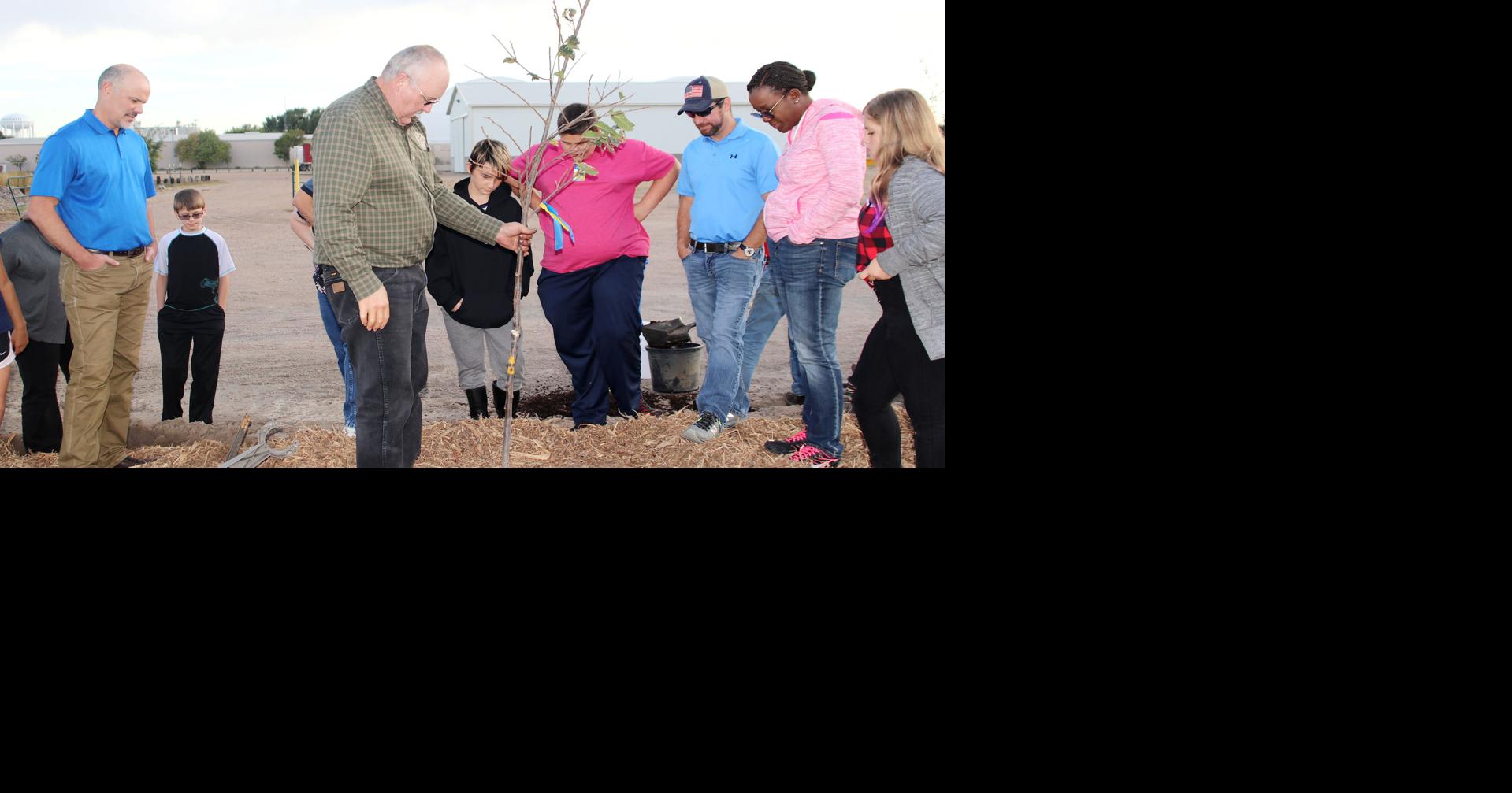 Tree planting with a team
