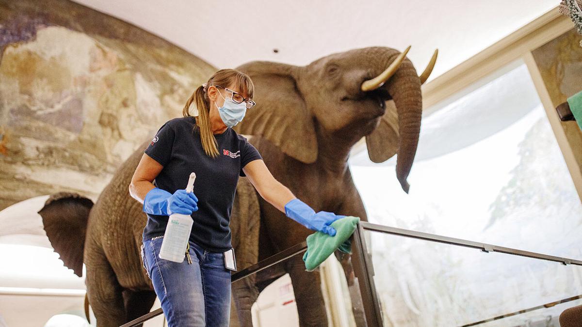 UNL’s Morrill Hall to reopen to public Aug. 5