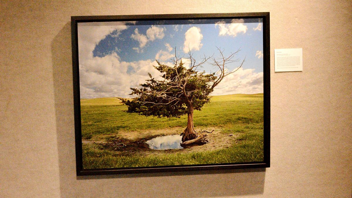 January Prairie Arts Center display highlights ‘Life in Nebraska’