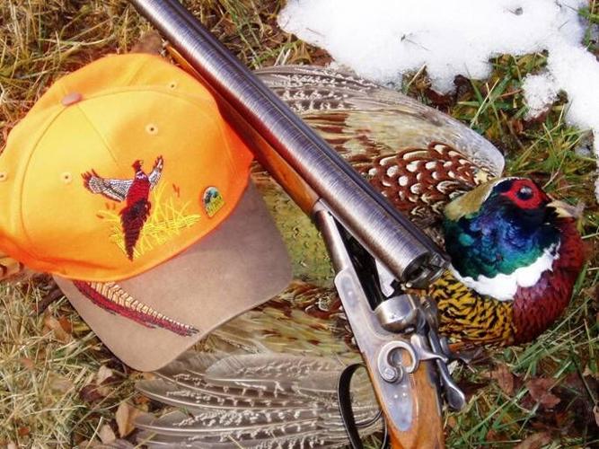 Rick Windham: A quick lesson in pheasant biology