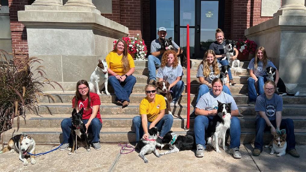 NCTA to host stock dog clinic in Curtis