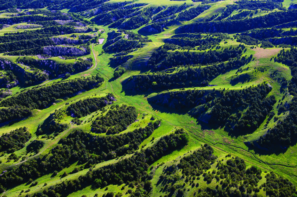 Loess Canyons landowners band together to confront eastern red cedar