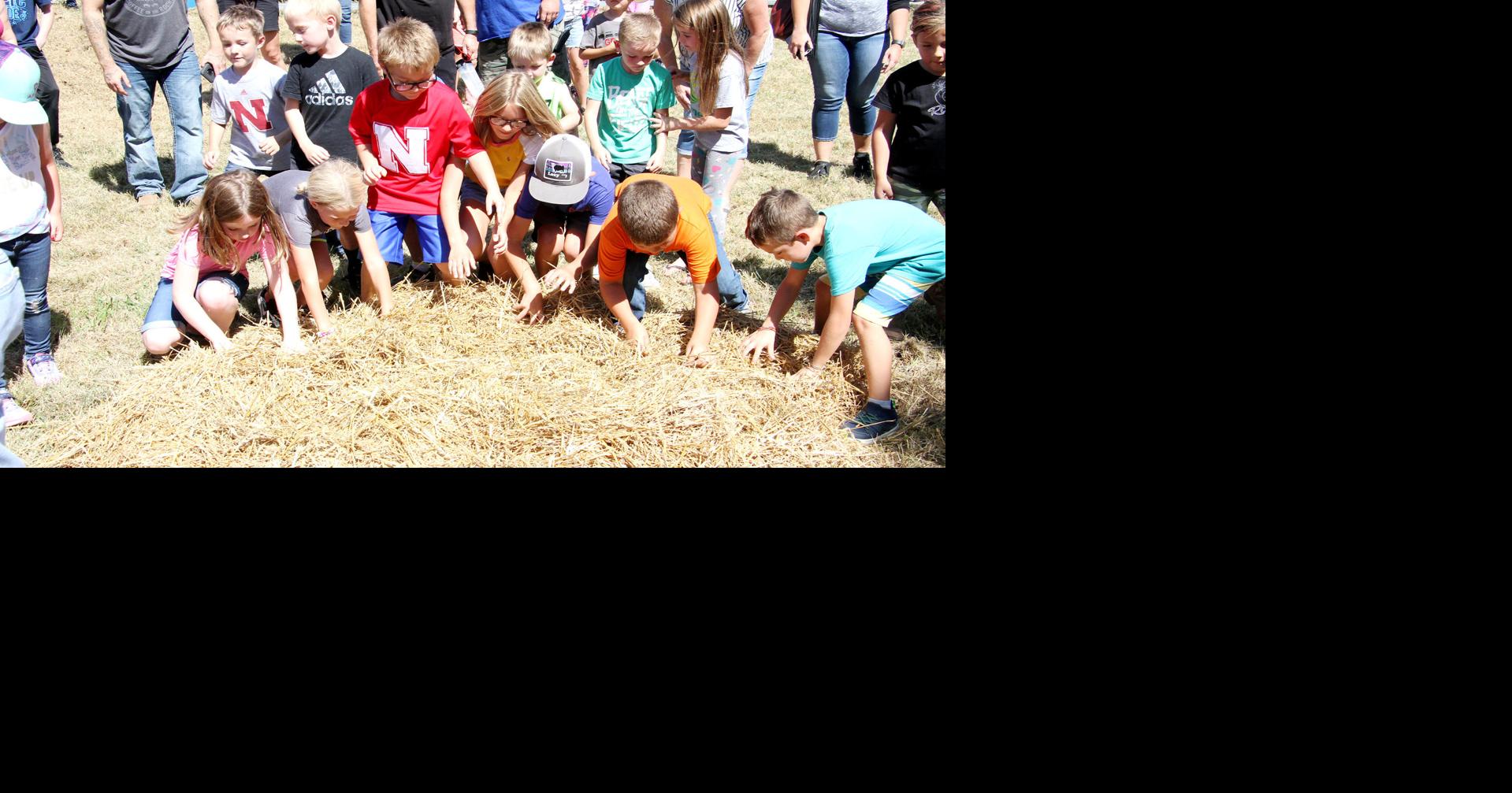 Wellfleet Fall Festival returns with "Wild Ride" theme