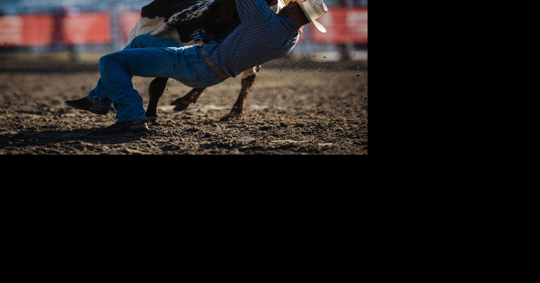 Buffalo Bill Rodeo: Colorado man rodeos for enjoyment of horses, Texas ...
