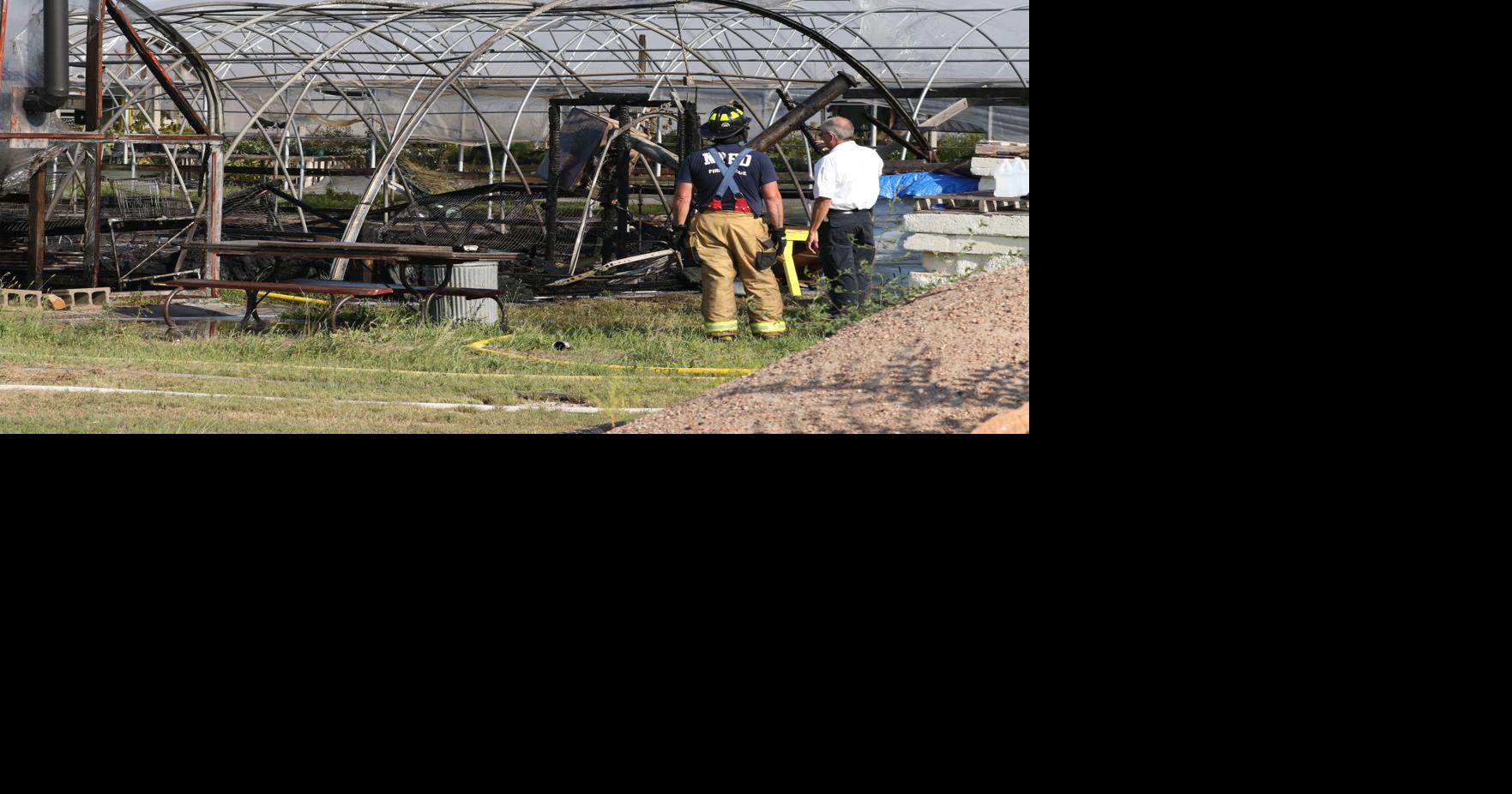Fire destroys greenhouses