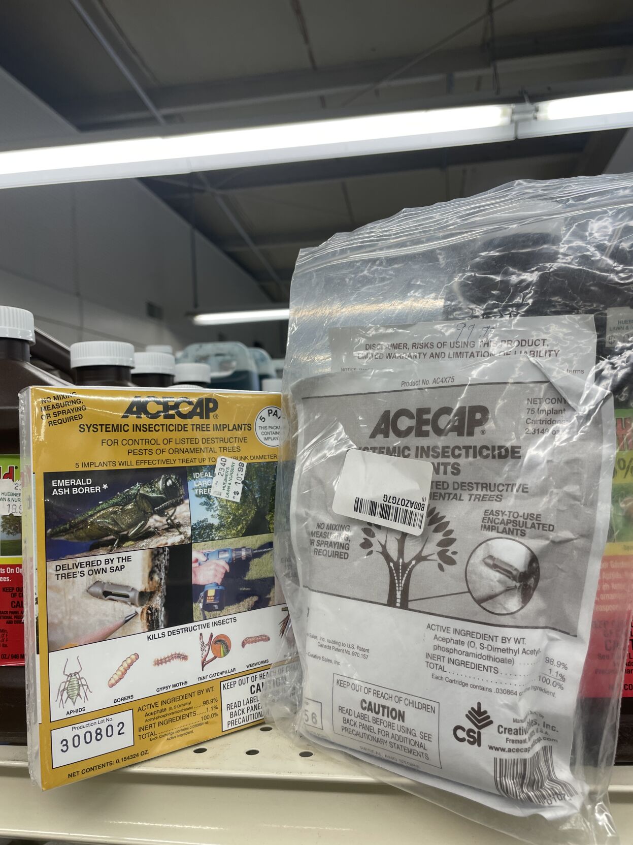 City of North Platte plans to inform public about emerald ash borer