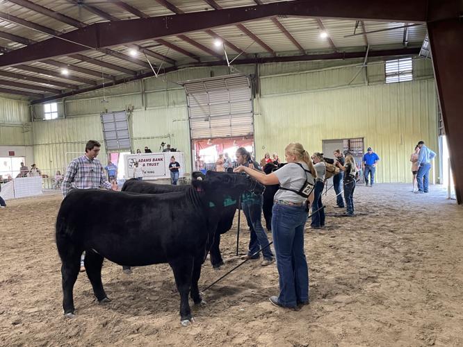 Lincoln County Fair results