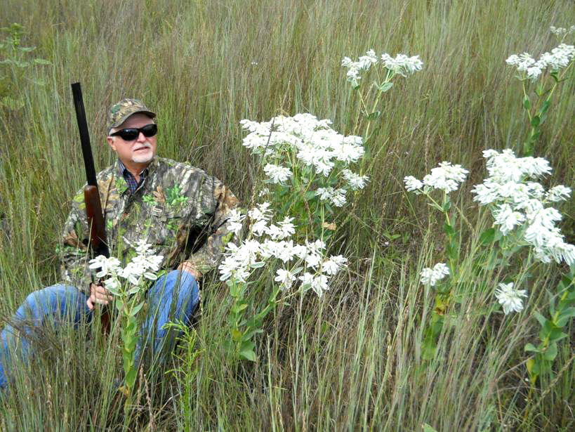 Are you ready for Nebraska’s dove season?