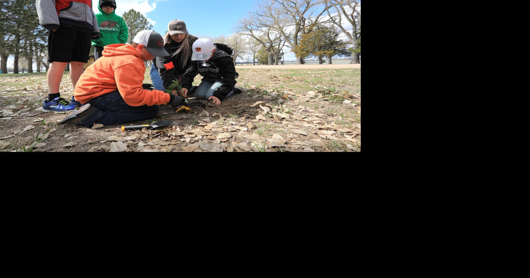 Julie Geiser: Celebrate Arbor Day by planting a tree
