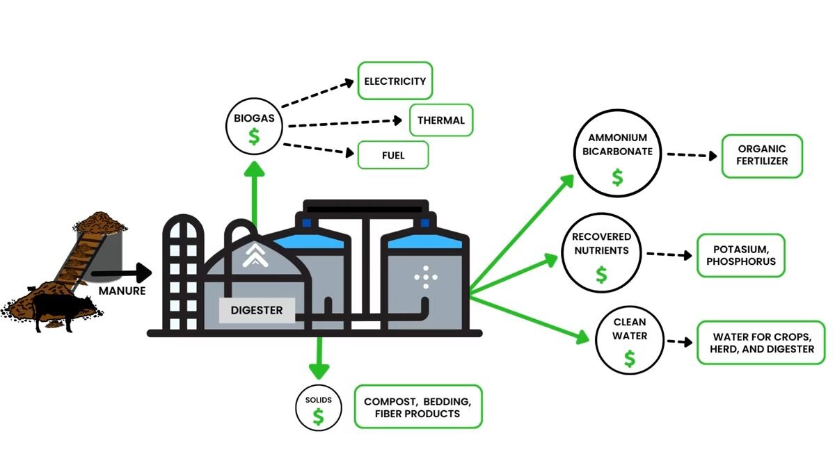 High tech feedyard planned for Lincoln County