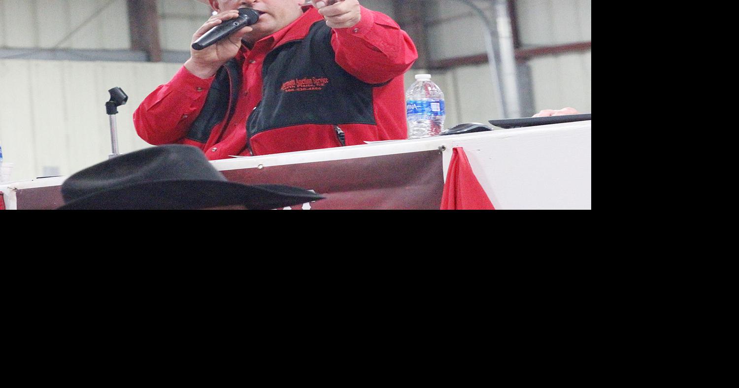 Auctioneer’s business more than just calling numbers