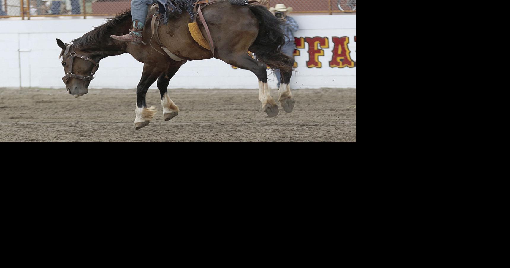 Bareback competition thrills crowd on opening night of Buffalo Bill Rodeo