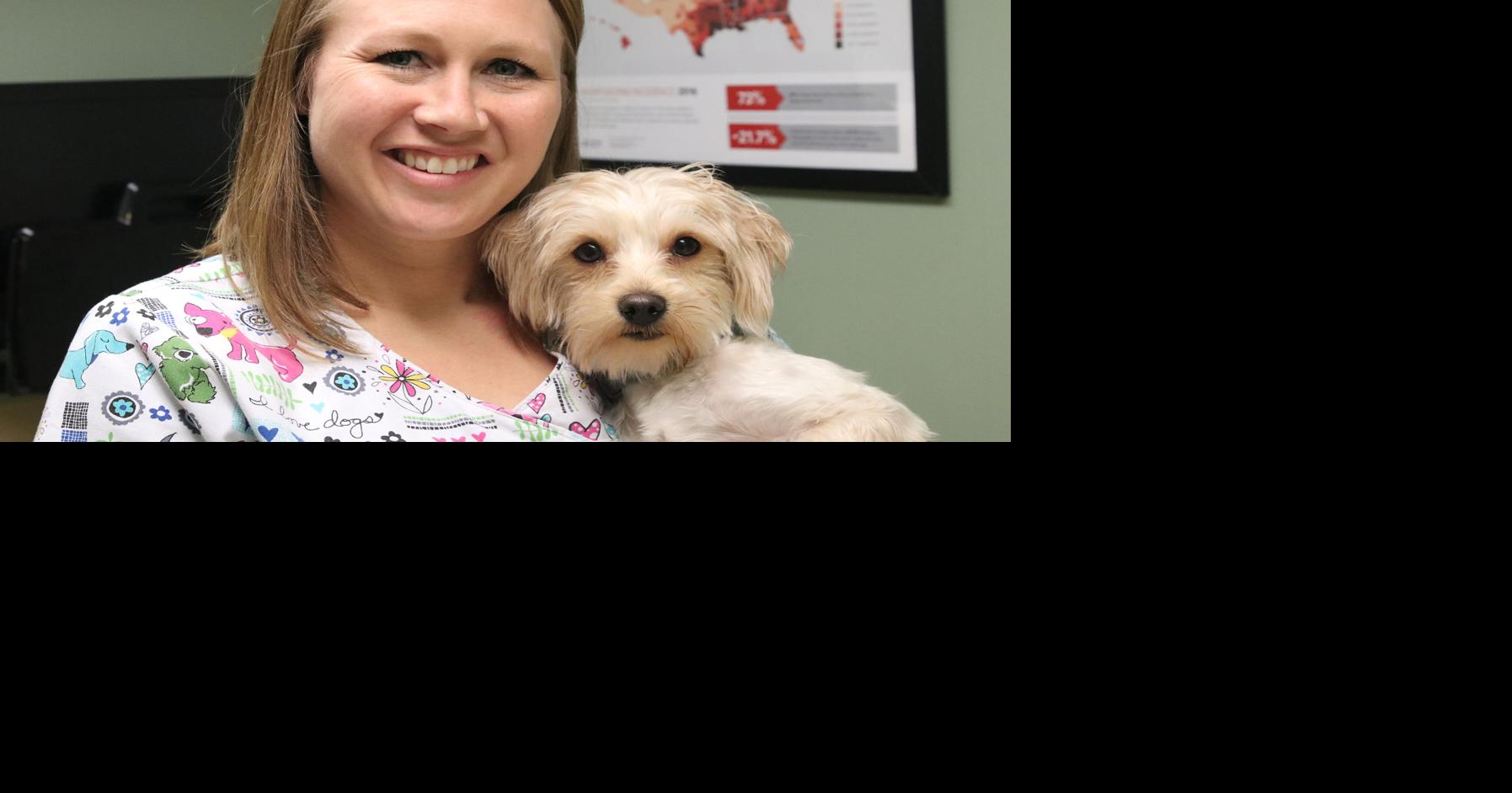 Sunday Focus: So you want to be a dog owner?