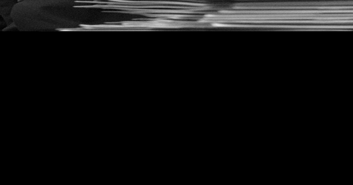 Judge John P. Murphy