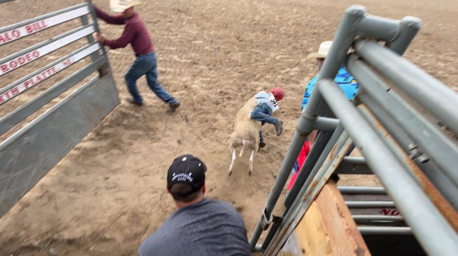 Mutton Bustin' brings out the bravest kids in Flatrock