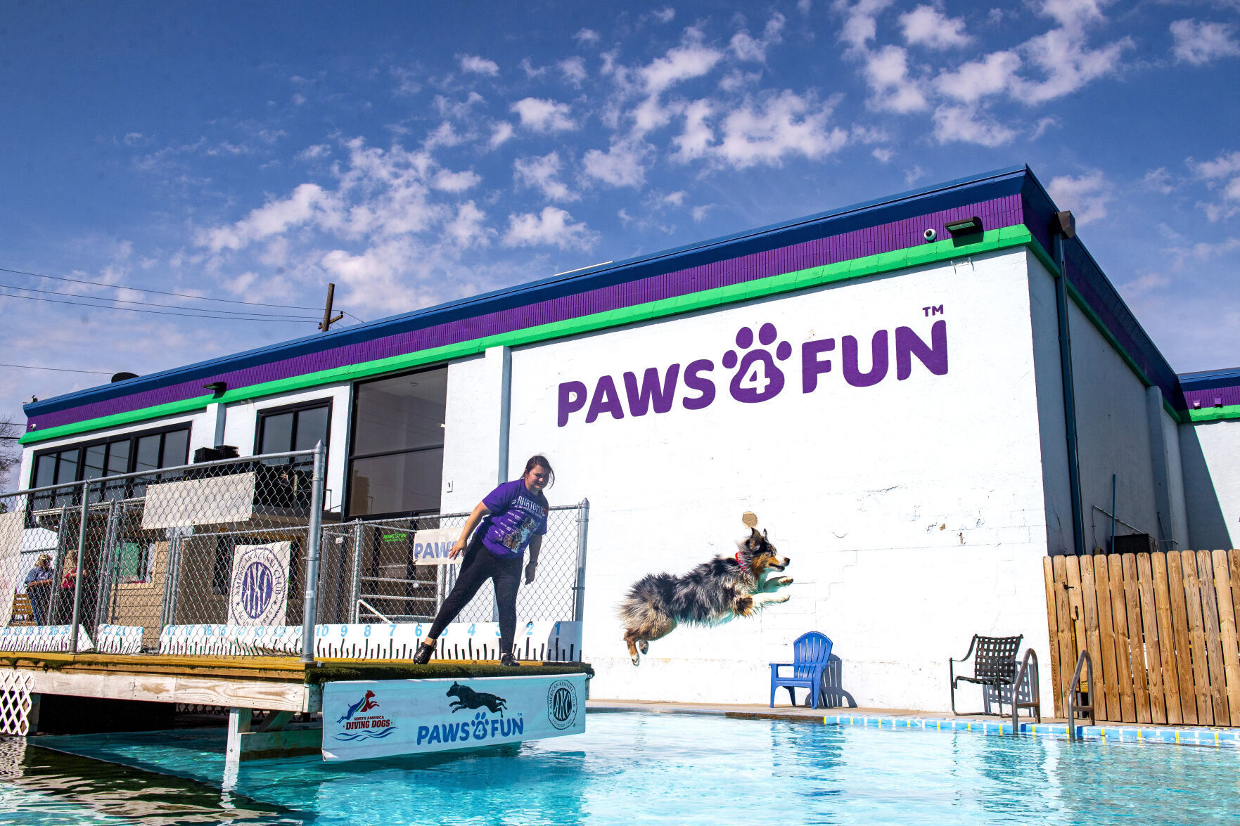 Photos: Paws 4 Fun hosts dock diving competition at spring kickoff party