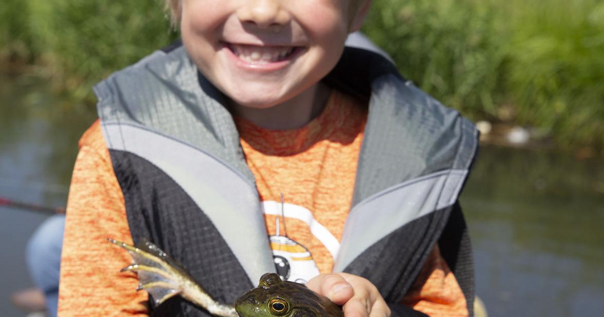 Outdoors: Bullfrog season has arrived