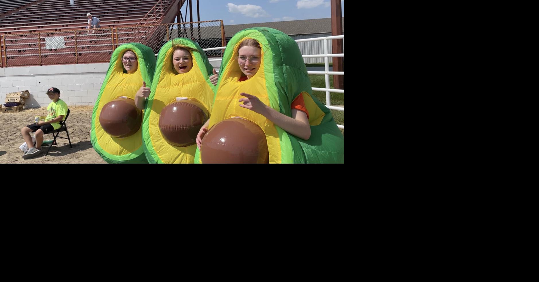 Second year of avocado launching sees diversity of approach