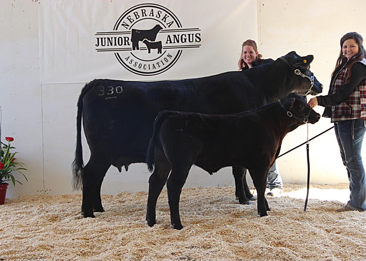 Reserve grand champion cow, calf pair awarded