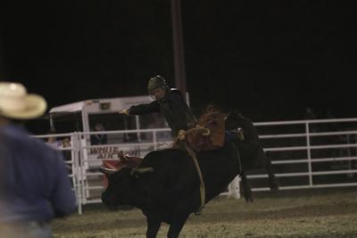 Toby Collins rides to a qualifying bull riding time on third night of ...