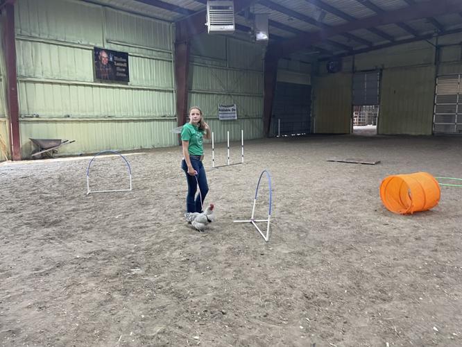 Pet competitions at Lincoln County Fair amuse crowd