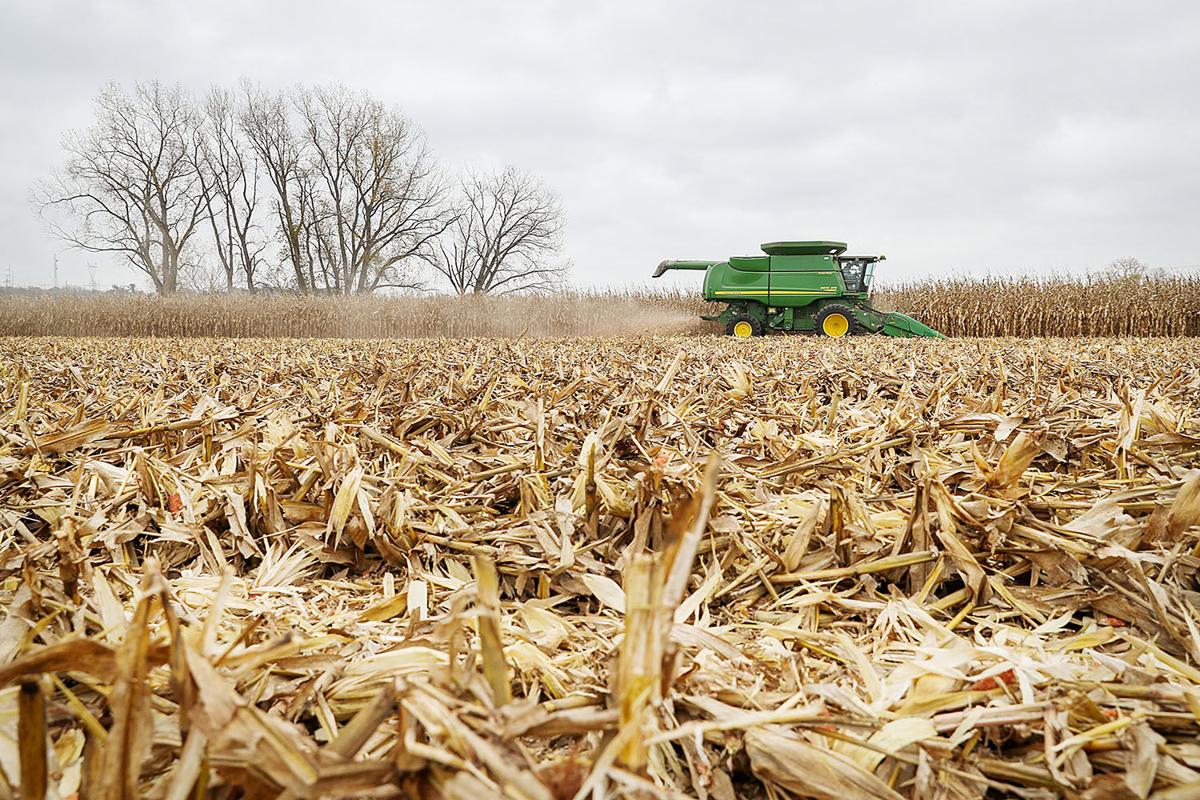 More crops, less cash