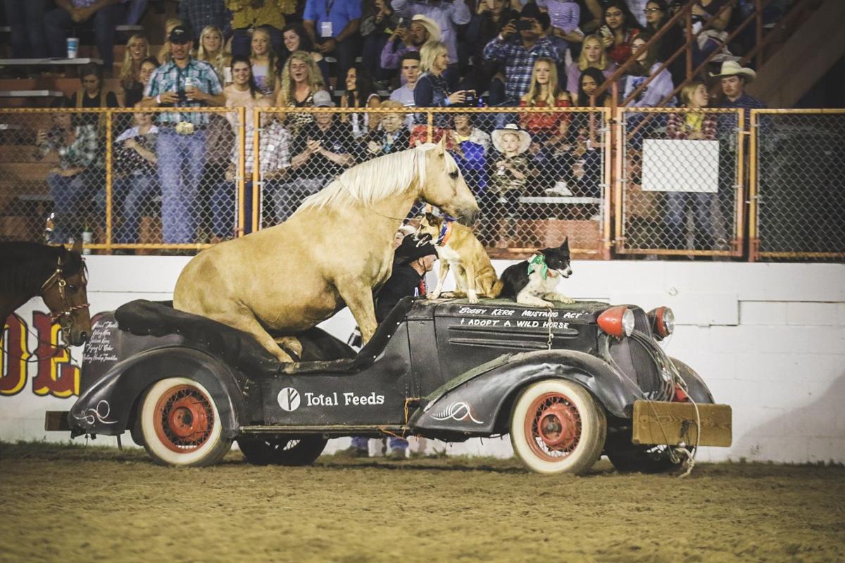 Gallery: Buffalo Bill Rodeo 2019