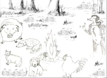 The adventures of Paula the Super Possum: All for one, and one for all ...